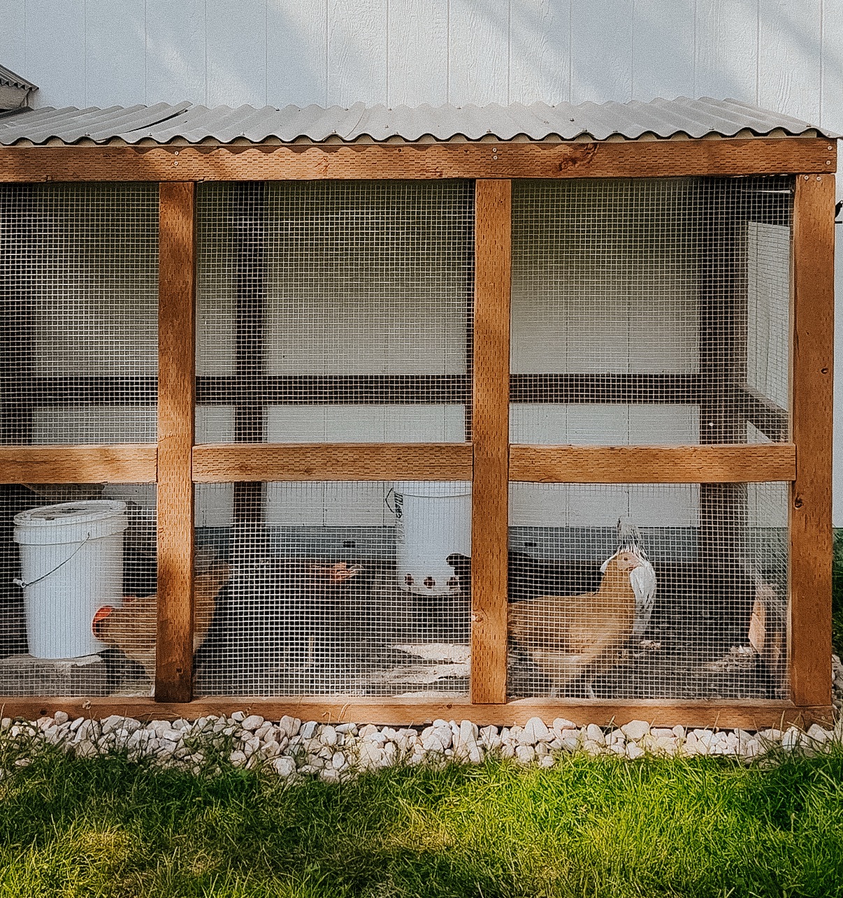 How To Build A Chicken Run – With Love, Mercedes